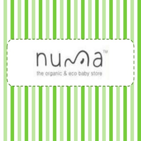 Numa Presentation (Mission Vision) | PPTX
