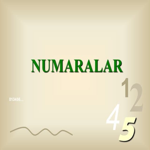 Numaralar Turkce | PPSX