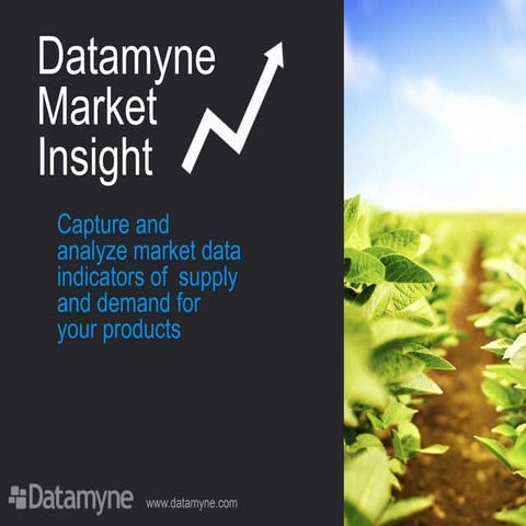 Datamyne Market Insight | PPTX
