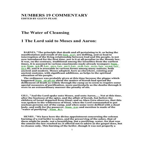 Numbers 19 commentary | PDF
