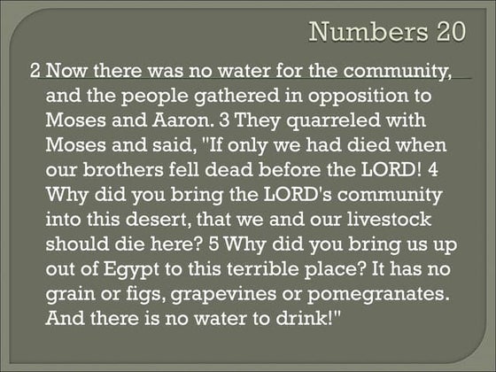 Numbers Chapter 17 (Summary & Lessons).docx