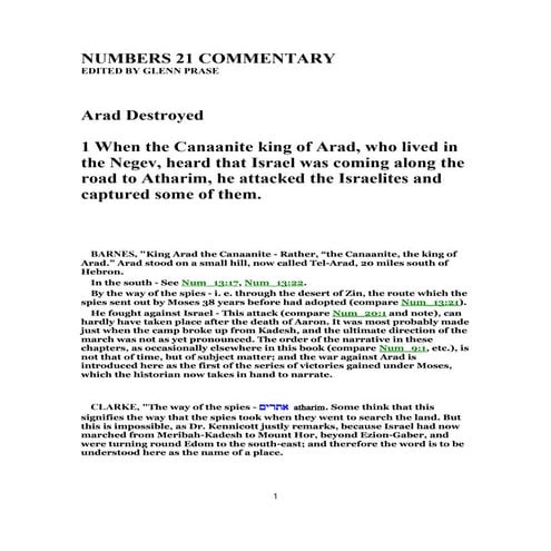 Numbers 21 commentary | PDF