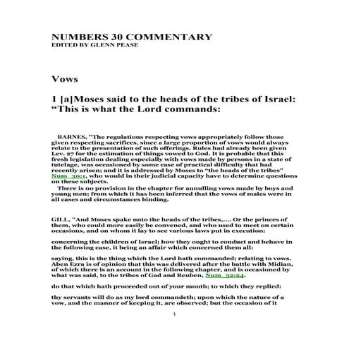 Numbers 30 commentary | PDF