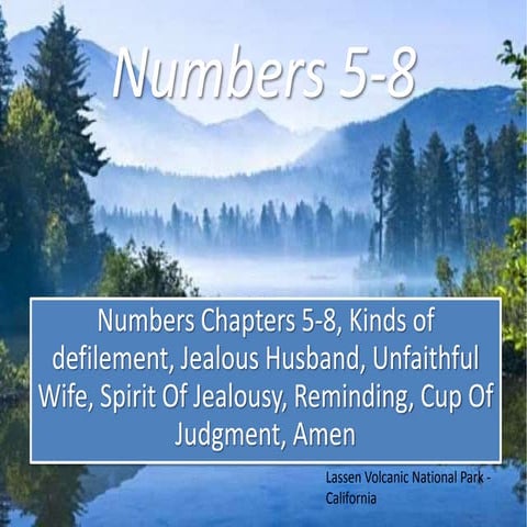 Numbers 5-8, Kinds of defilement, Jealous Husband, Unfaithful Wife ...