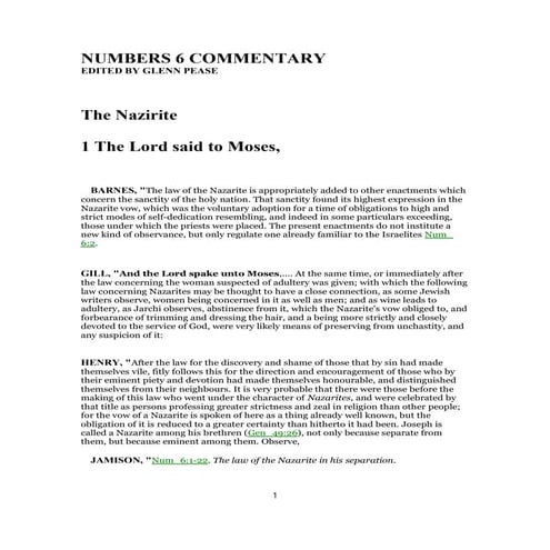 Numbers 6 commentary | PDF