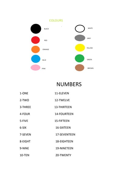 Numbers | PPT