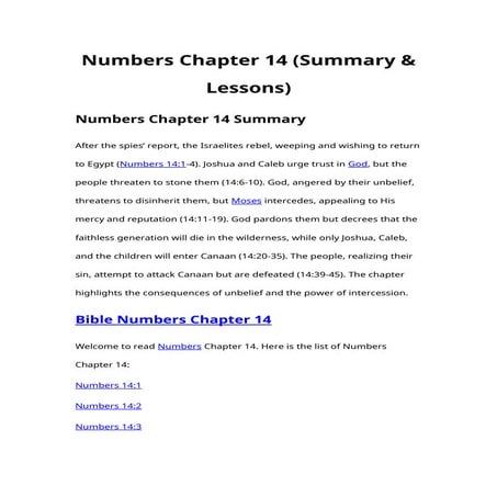 Numbers Chapter 14 (Summary & Lessons).docx