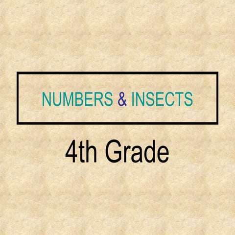 Numbers & insects | PPT