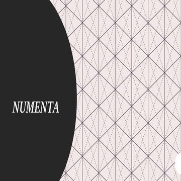 NUMENTA.pptx