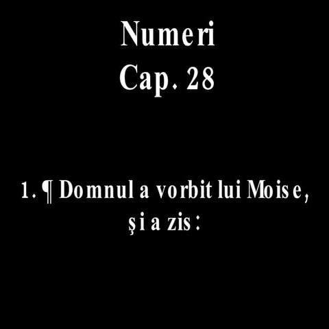Numer 28 | PPT