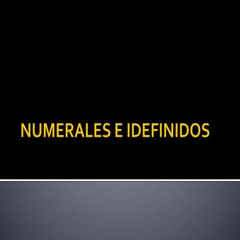 Los numerales e indefinidos | PPTX