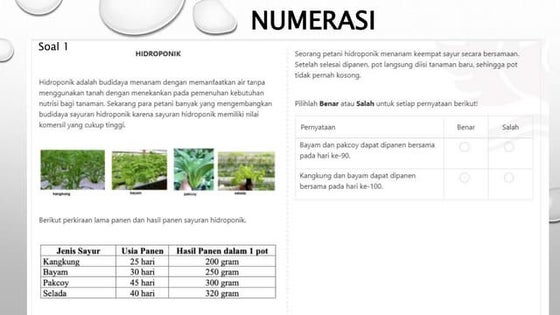 LKPD Peluang Empirik kelas 9 Matematika .pptx