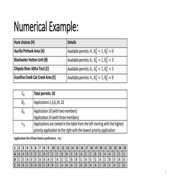 numerical example of the project.pptx