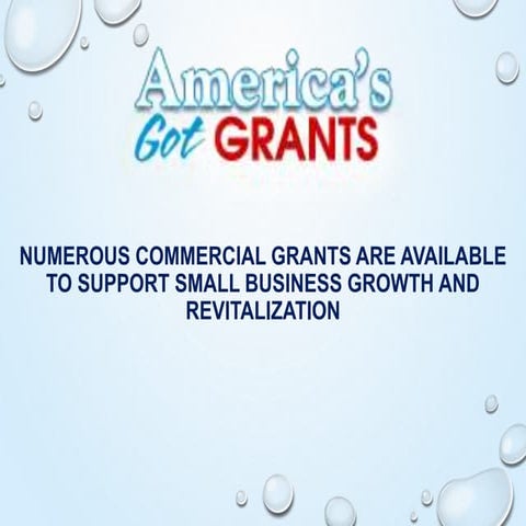 The Impact of Small Business Grants in Rural Areas.pdf