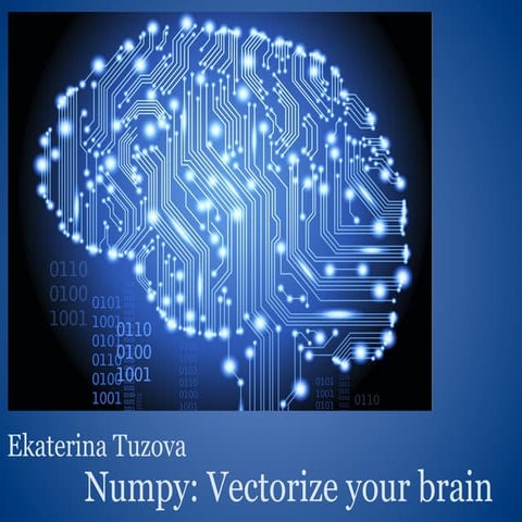 Numpy: Векторизация - Екатерина Тузова, JetBrains | PPT