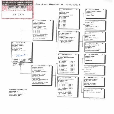 Surinx Pletsers | PDF