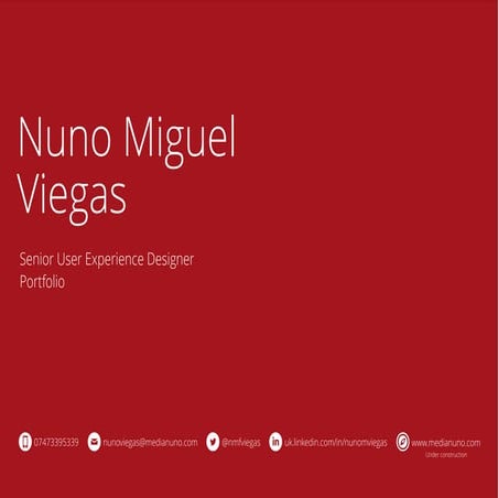 Nuno viegas Portfolio | PDF