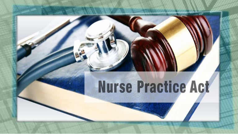 Nur 3119 florida nurse practice act ppt