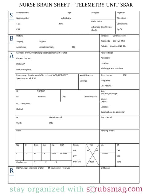 Nurse brain sheet_binder_insert_with_mars | PDF