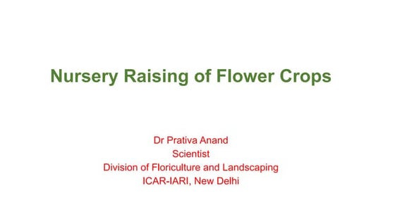 P1 nursery raising in vegetables | PDF