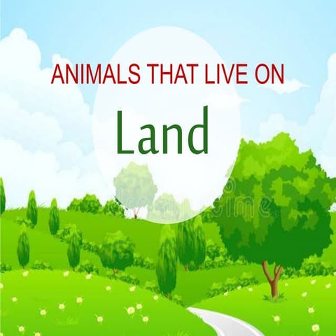 Animal Habitat - Land, Water, and Both Land and Water | PPT