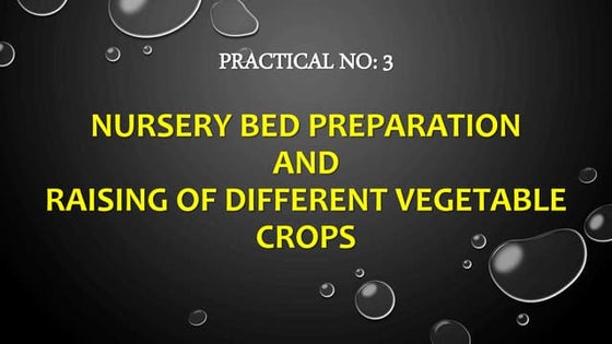 P1 nursery raising in vegetables | PDF
