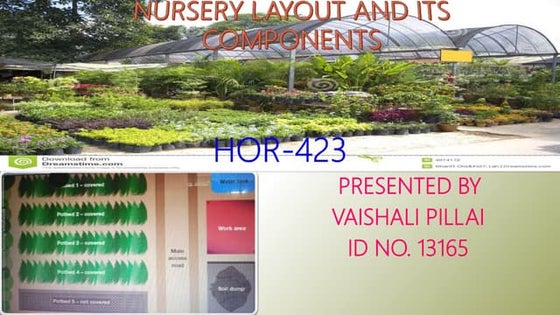 P1 nursery raising in vegetables | PDF