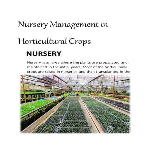 MAINTAIN NURSERY FACILITIES.pptx