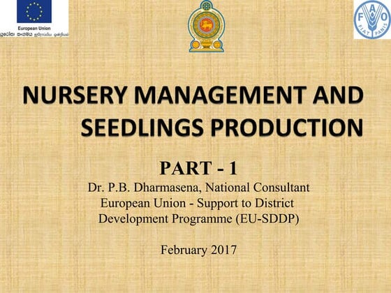 P1 nursery raising in vegetables | PDF