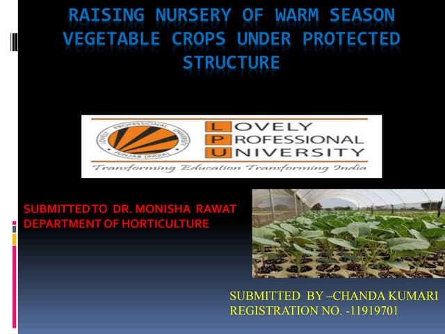 TRANSPLANTING OF VEGETABLE SEEDLINGS.pptx