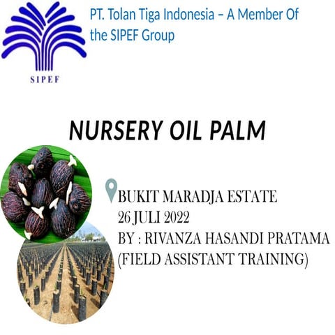NURSERY RIVANZA HASANDI PRATAMA pem.pptx