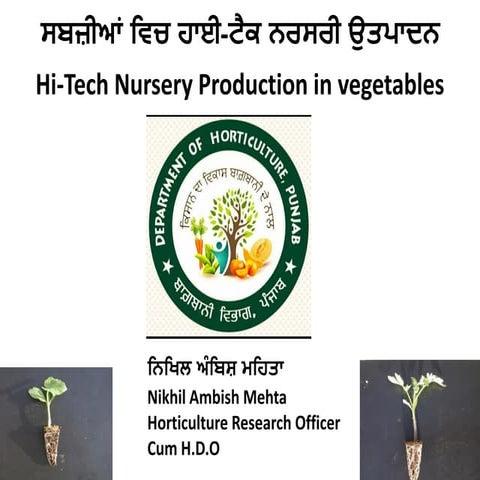 Hi-Tech Nursery Production in Vegetables | PDF