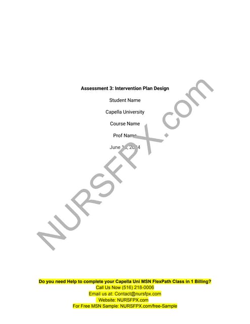 NURS FPX 6214 Assessment 3 Implementation Plan.pdf