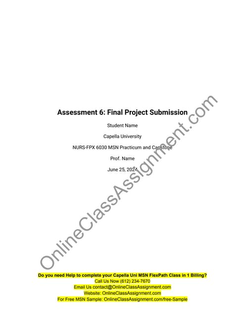 NURS FPX 6416 Assessment 1 Needs Assessment Meeting with Stakeholders.pdf
