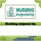 Microbiology Assignment Help | PPT