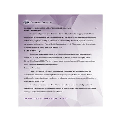 Nursing Capstone Project | PDF