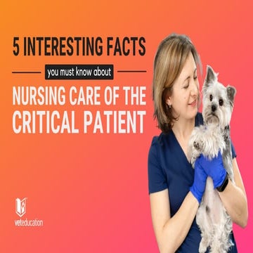 5 Interesting Facts you must know about Nursing Care of the Critical ...
