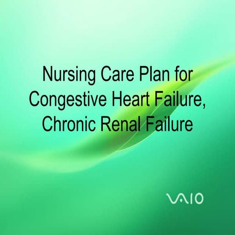 Risk for fall Nursing Care Plan | PDF