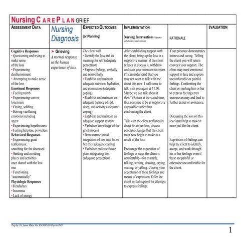 Nursing c a r e p l a n grief drjma | PDF