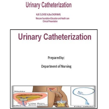 Clinical prsesentation on anatomy of femal and male catherization ...