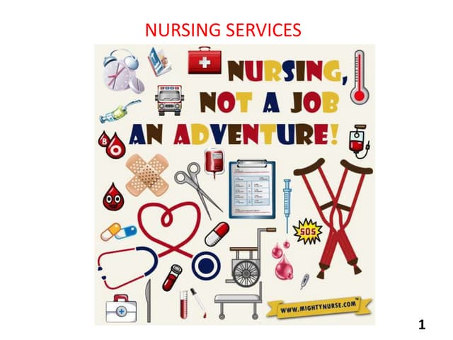 Presentation on Matrons Report | PPTX | Healthcare Industry | Industries