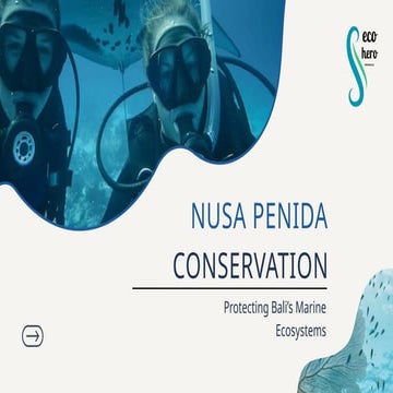 Nusa Penida Conservation: Protecting Bali’s Marine Ecosystems | PPTX