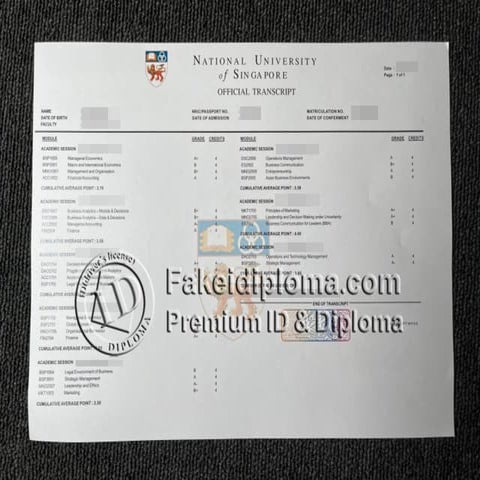 NUS transcript | PDF