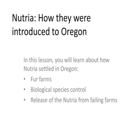 Nutria | PPTX