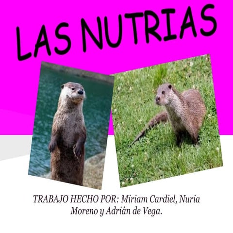 Nutrias | PDF