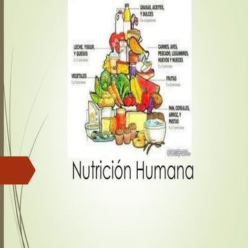 Nutrición humana | PPTX