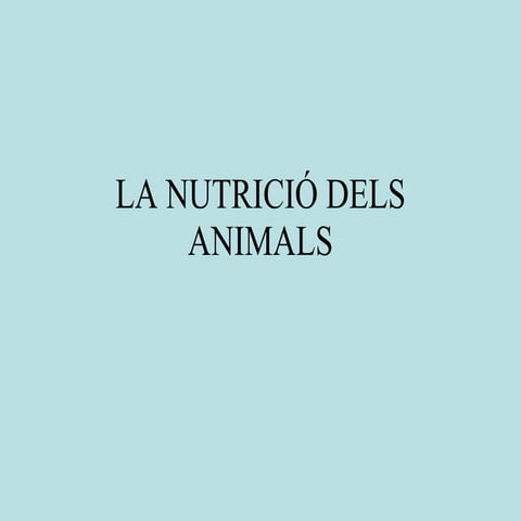 Nutricio dels animals | PPT