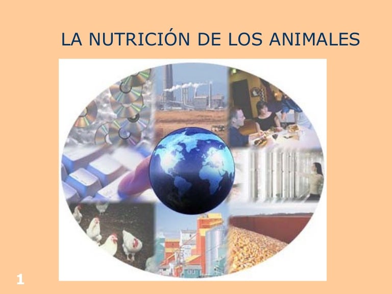 Nutricion Animal