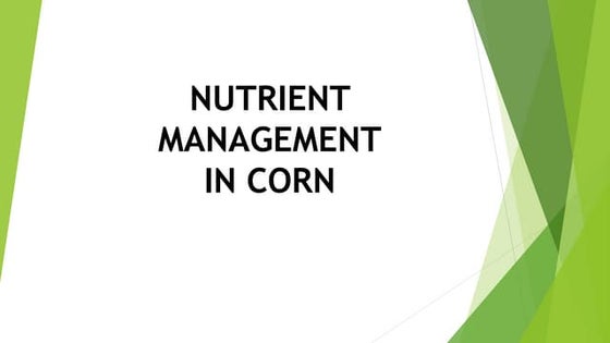 APPLYING BASAL FERTILIZER.pptx | Agriculture | Industries