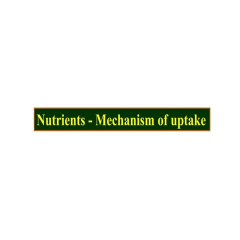 Mechanism of nutrient uptake in plants | PPTX